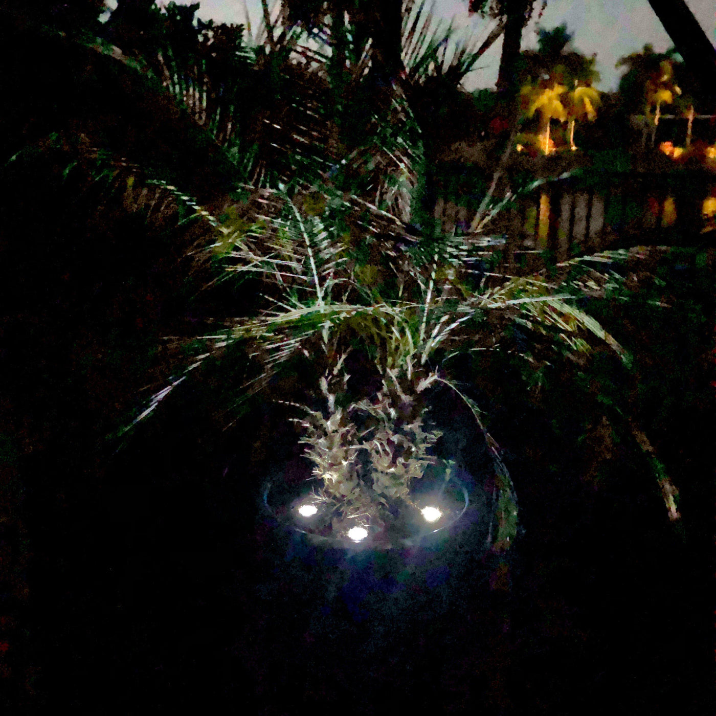 LED Dock & Deck Pods - Solar Powered Light Dots– Aqua Gear Supply