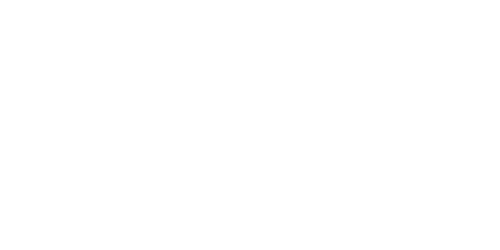 Roll-N-Go 2000 Series Boat Roller Ramp System 16'– Aqua Gear Supply